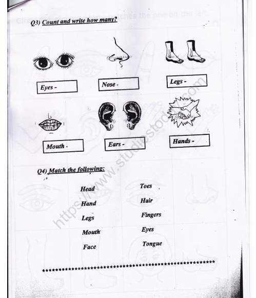 CBSE Class 1 EVS Our Body And Cleanliness Worksheet